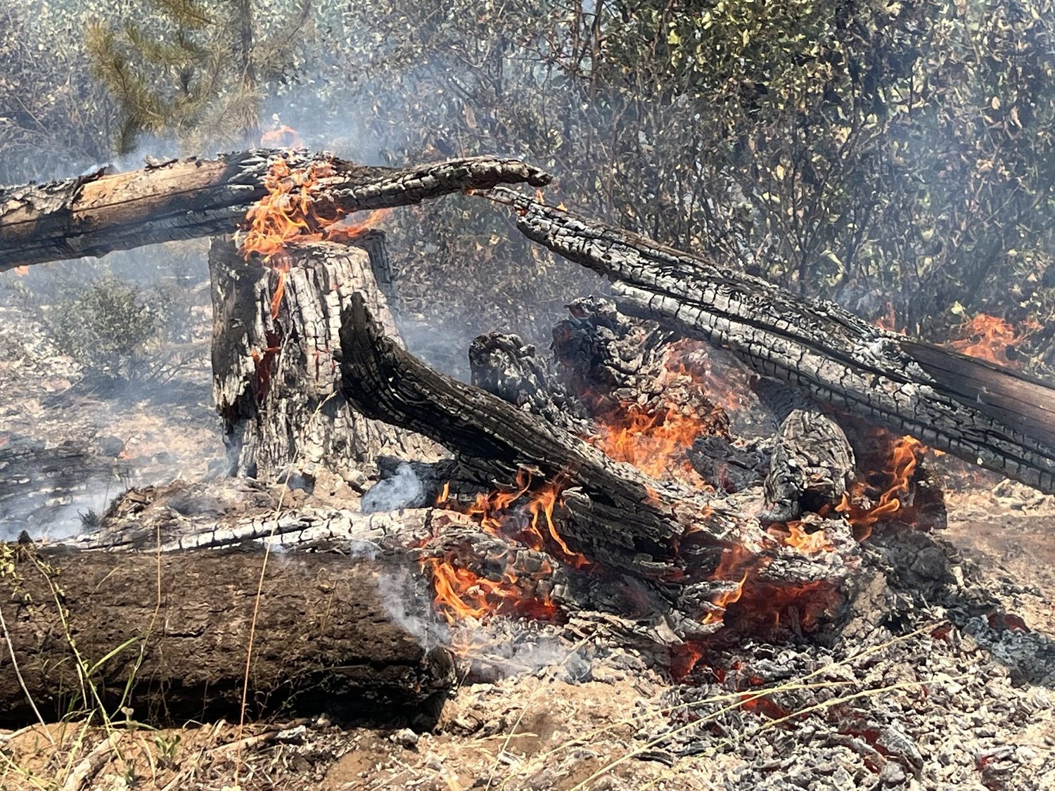 200 personnel added to Williams Mine Fire near Trout Lake, Wash ...