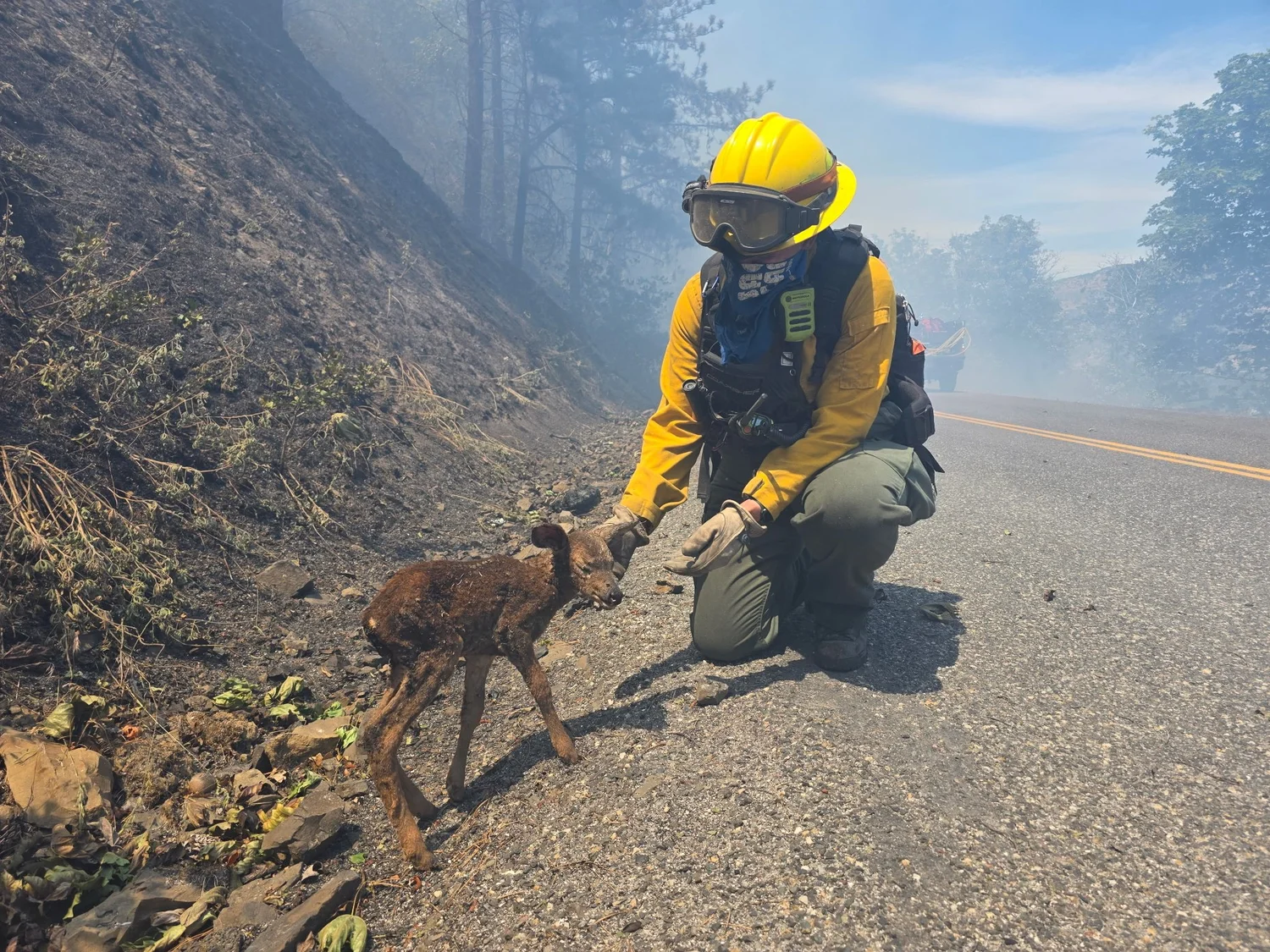 No Fatalities Confirmed in Rowena Fire Despite Loss of 56 Homes ...