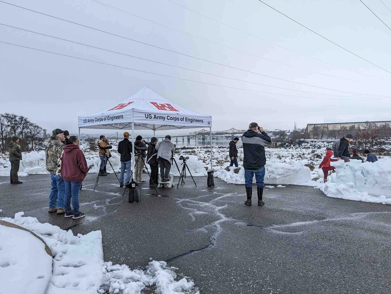 Photo Gallery: Eagle Watch 2024 — Columbia Community Connection News ...