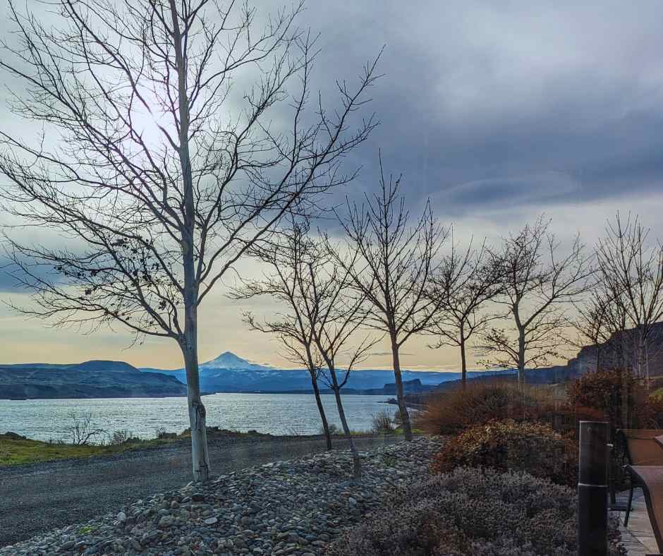 Review: Jacob Williams Winery — Columbia Community Connection News Mid ...