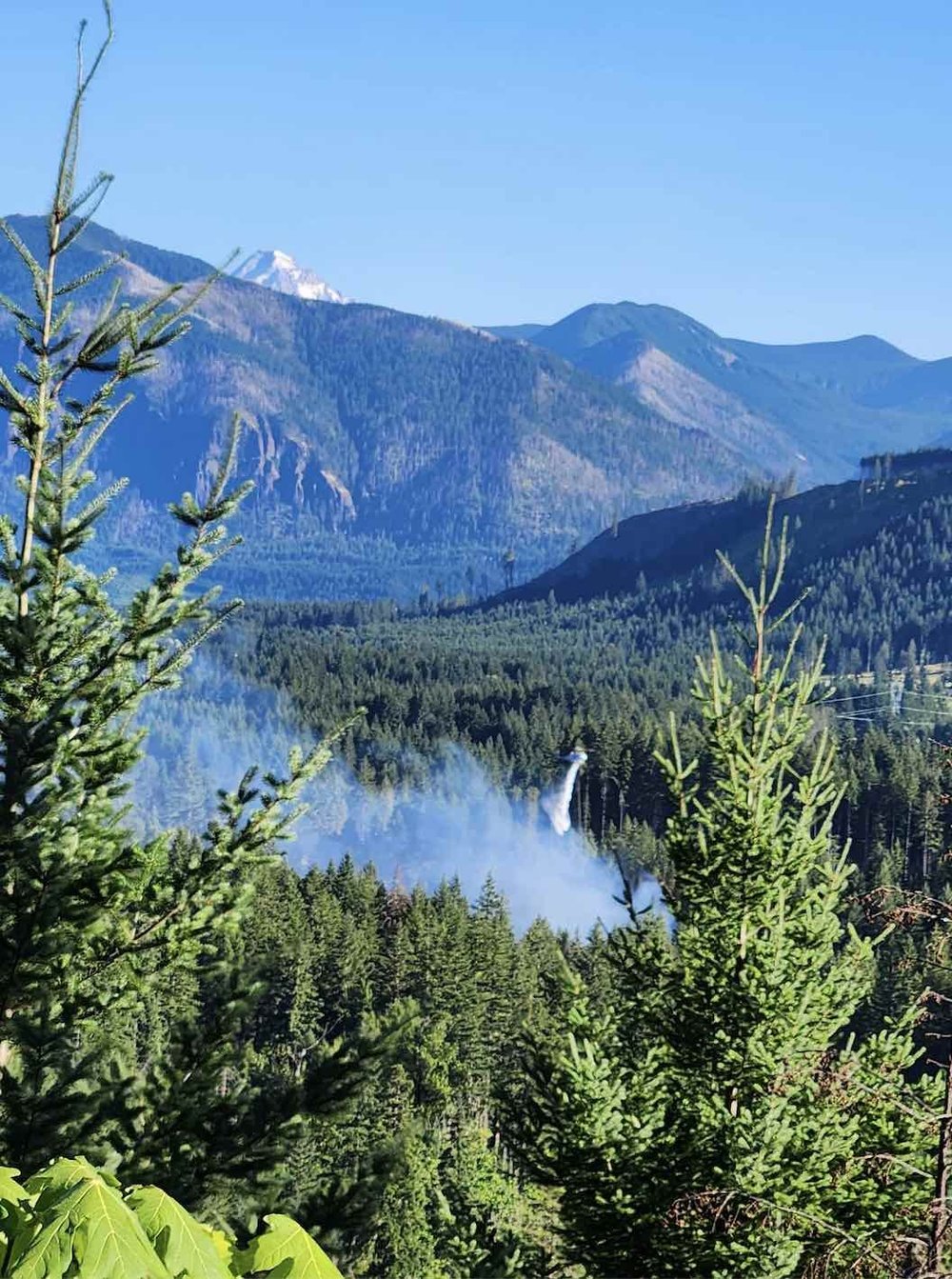 Bear Creek Fire Ignites North of Carson, WA — Columbia Community ...