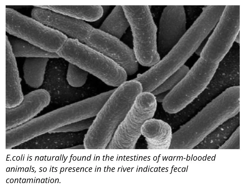 Columbia River beaches reopen as E. Coli levels return to compliance ...