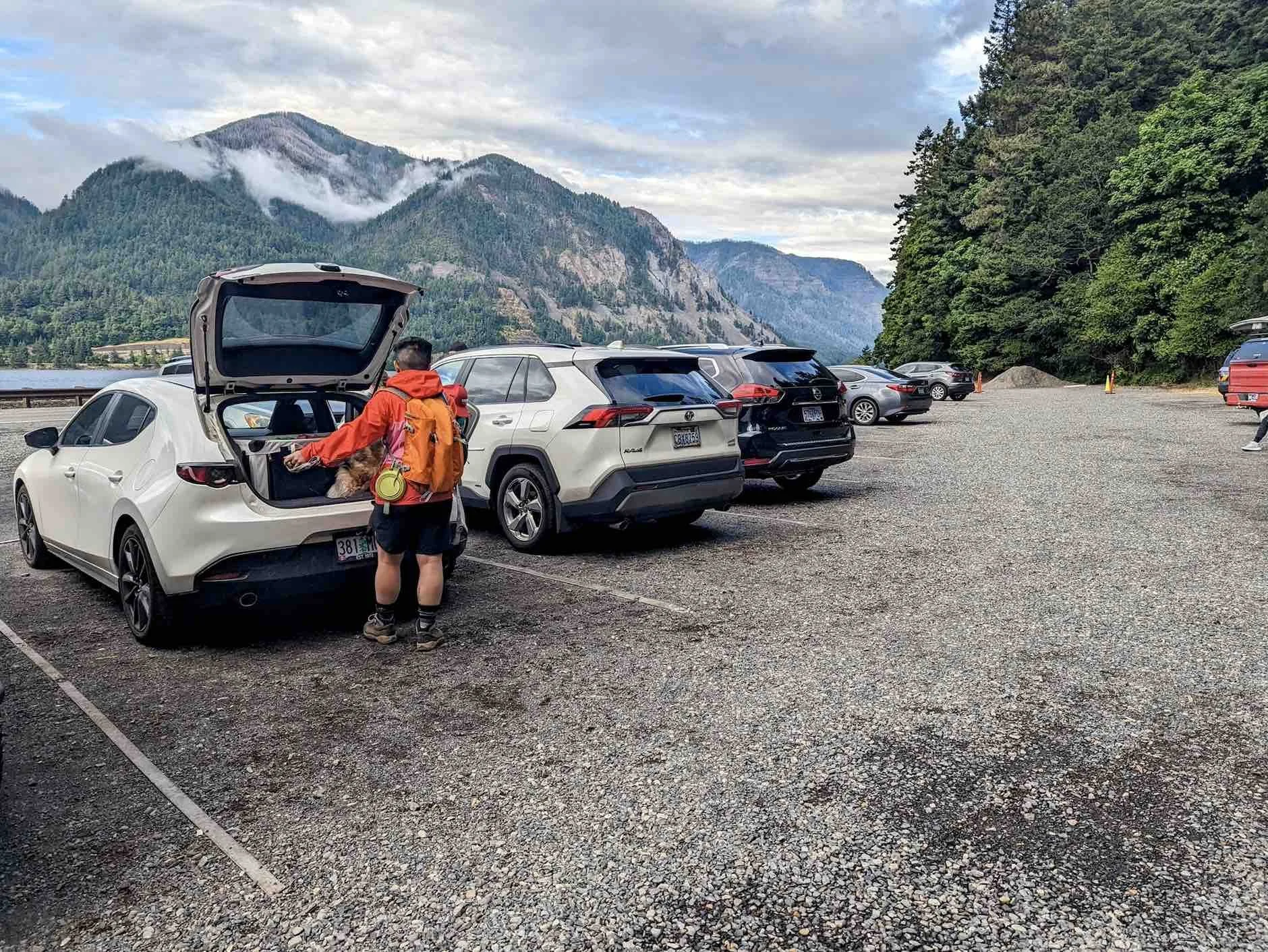 Dog Mountain Shuttle Celebrates 7 Years of Learning, Growth, and ...