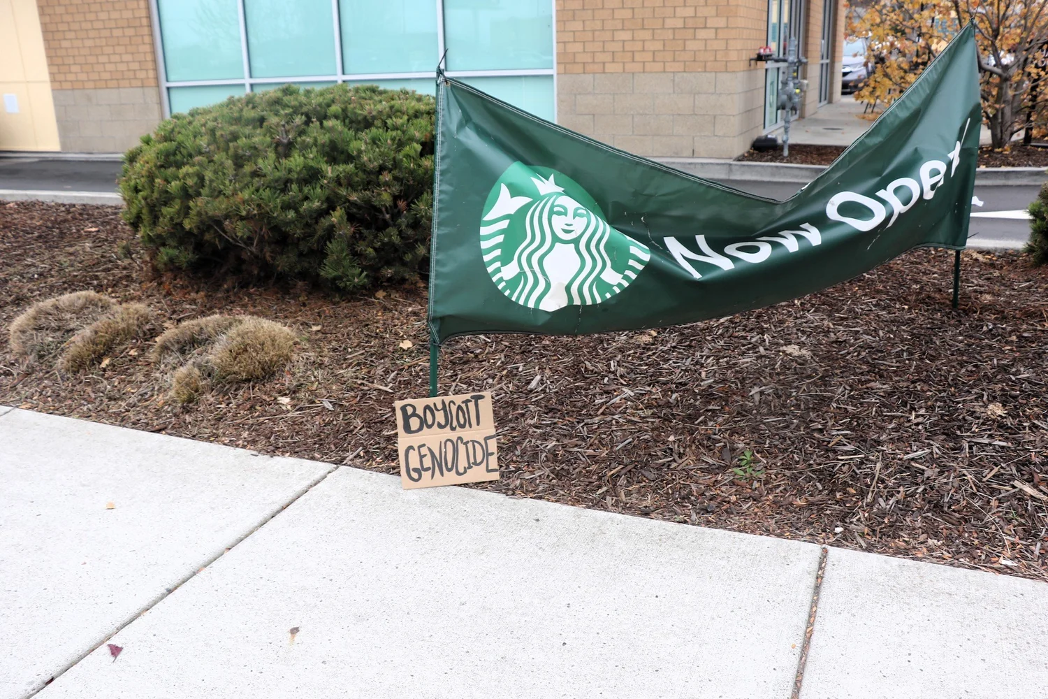Local Starbucks boycott puts spotlight on war machine, killings in Gaza ...