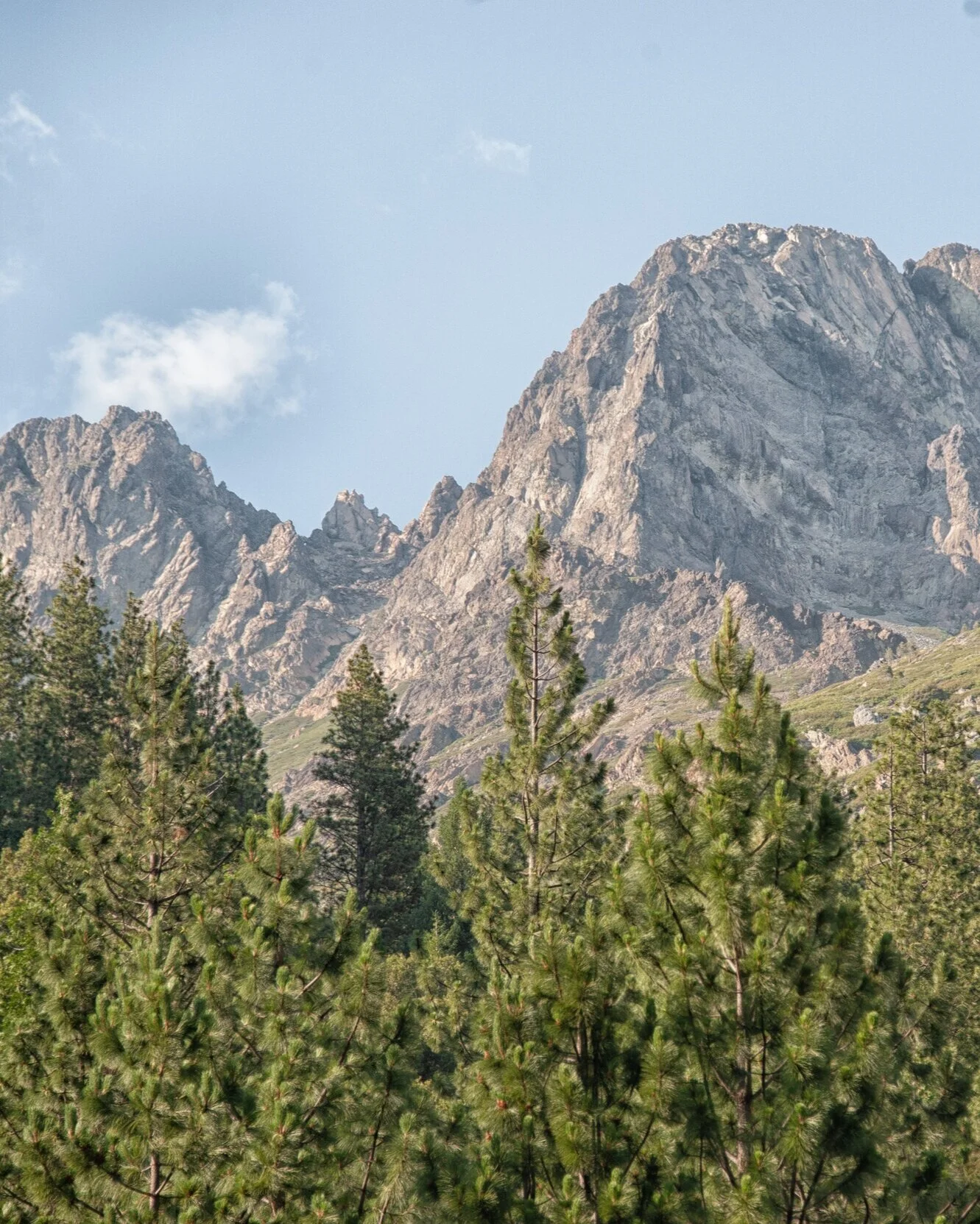 About Blue Forest — Blue Forest Conservation