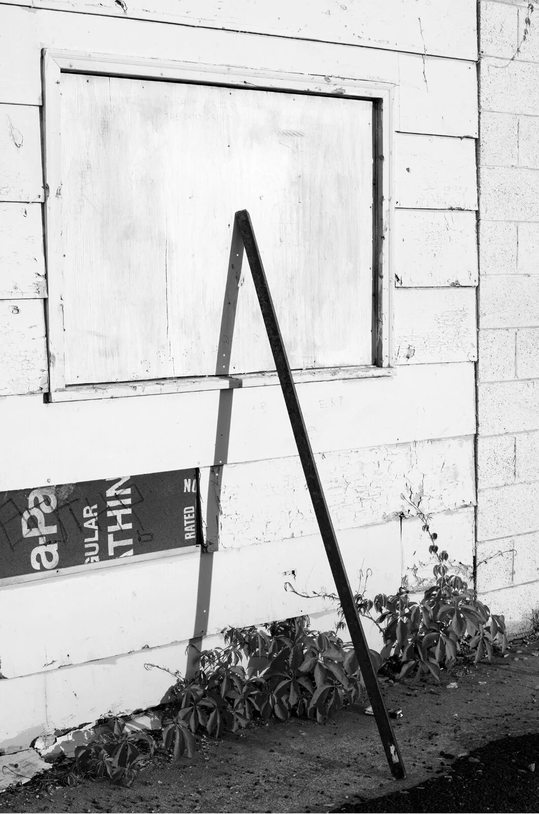 Terrain Vague — Ben Alper