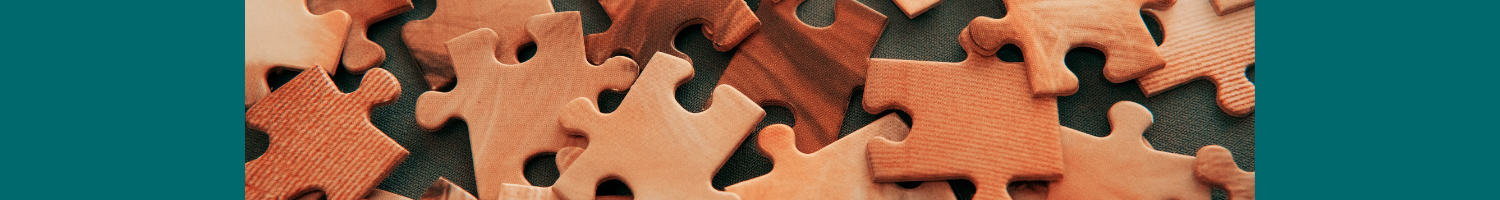 Overview — The Omaha System