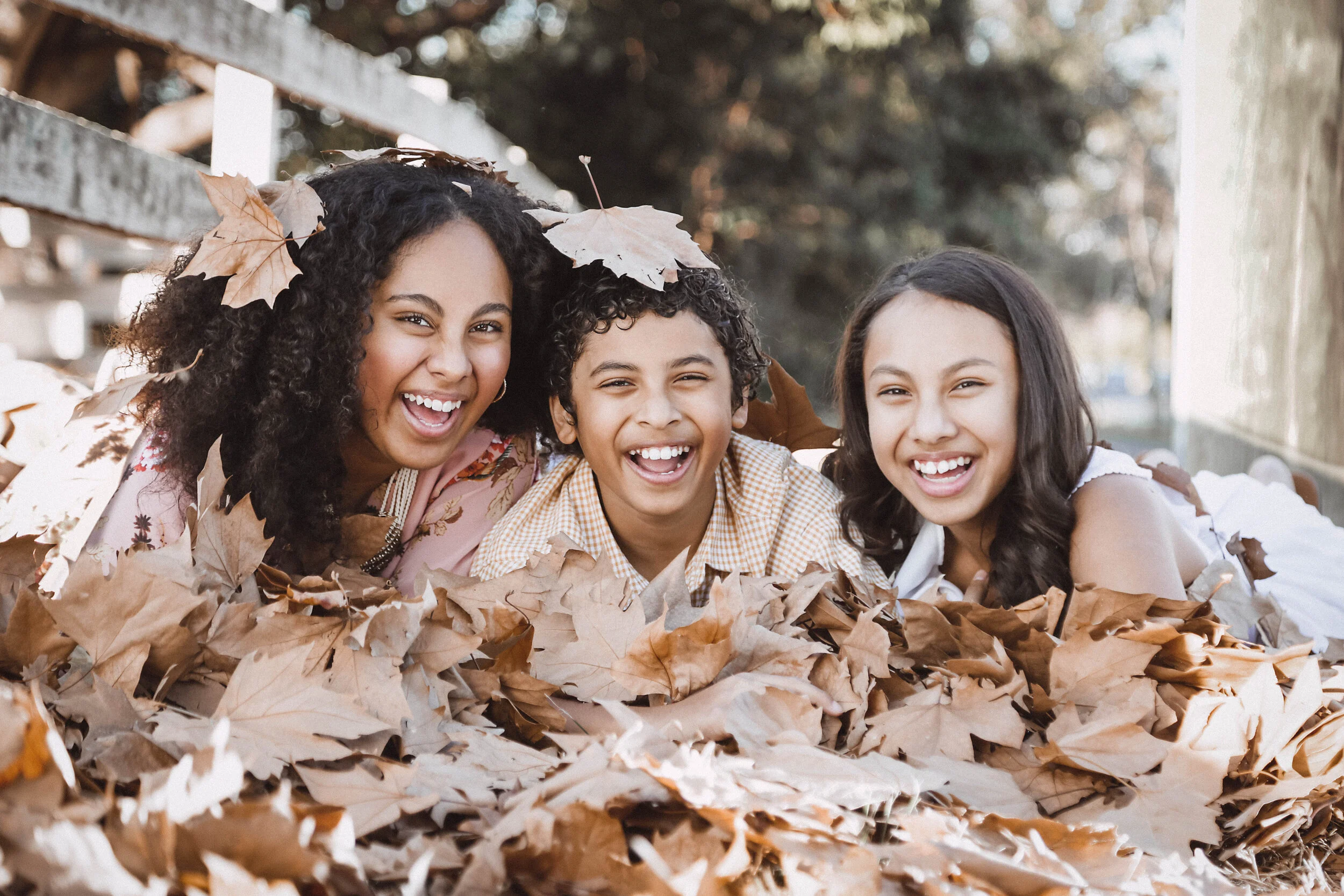 Studio1000 Photography Australia