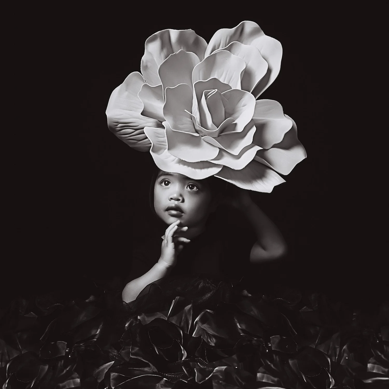 Studio1000 Photography Australia | Capture Your Moments Today