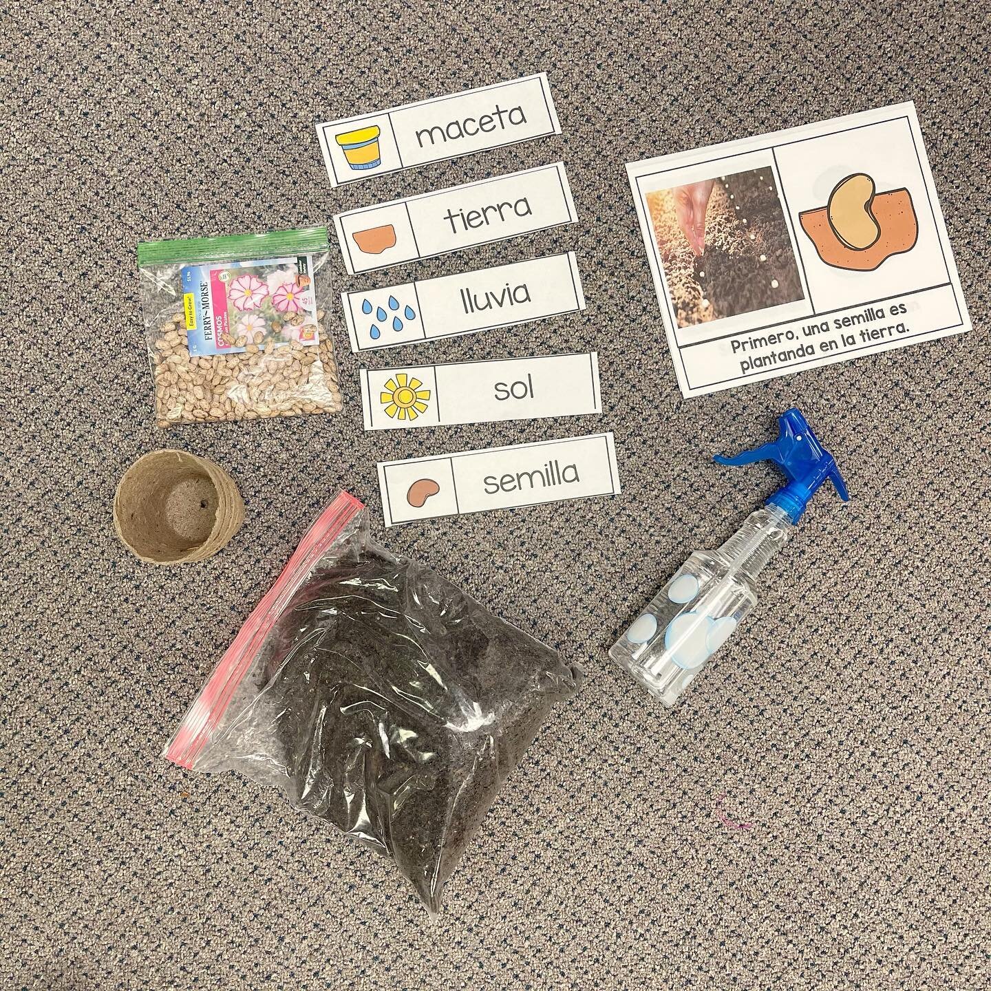 The Bilingual Schoolhouse | Full-Immersion Spanish Preschool