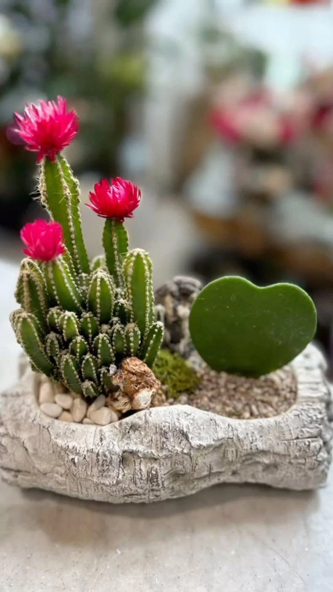 REMI43 Flower & Coffee