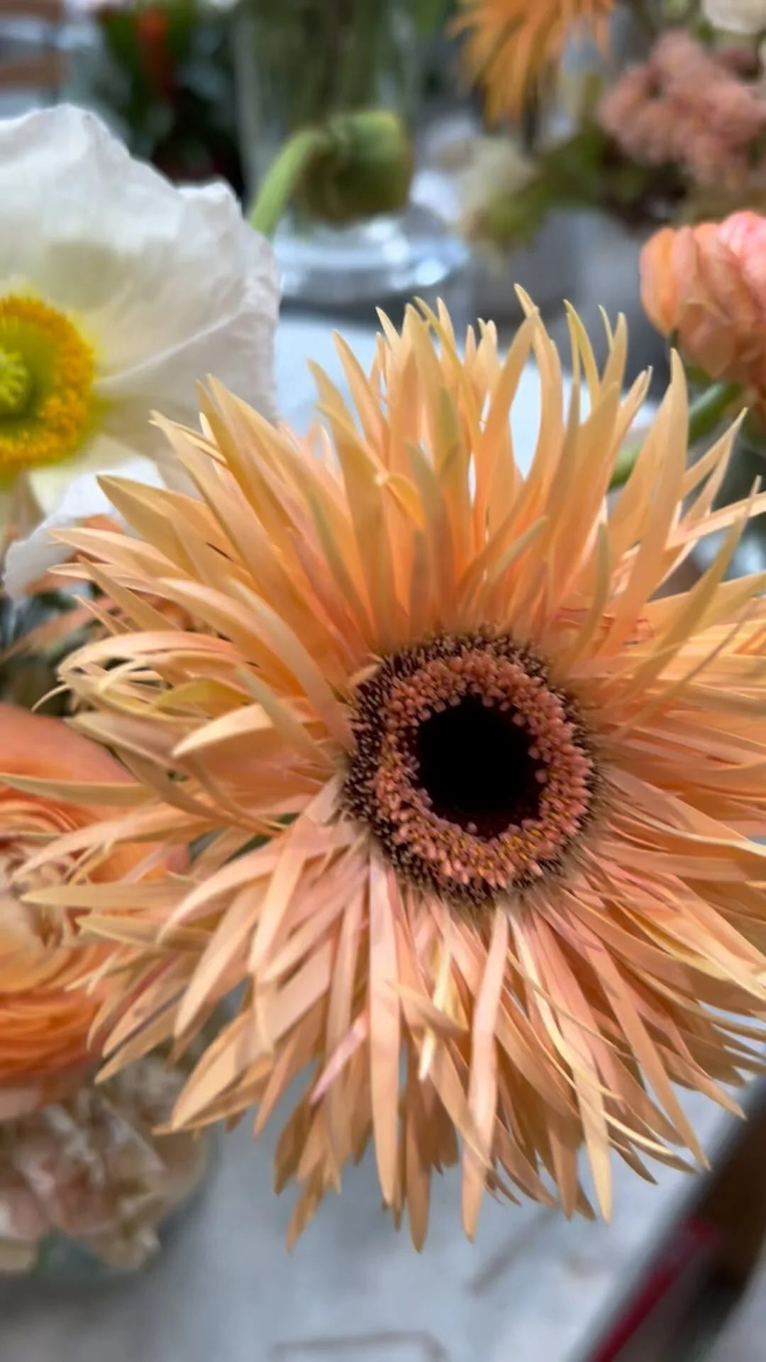 REMI43 Flower & Coffee