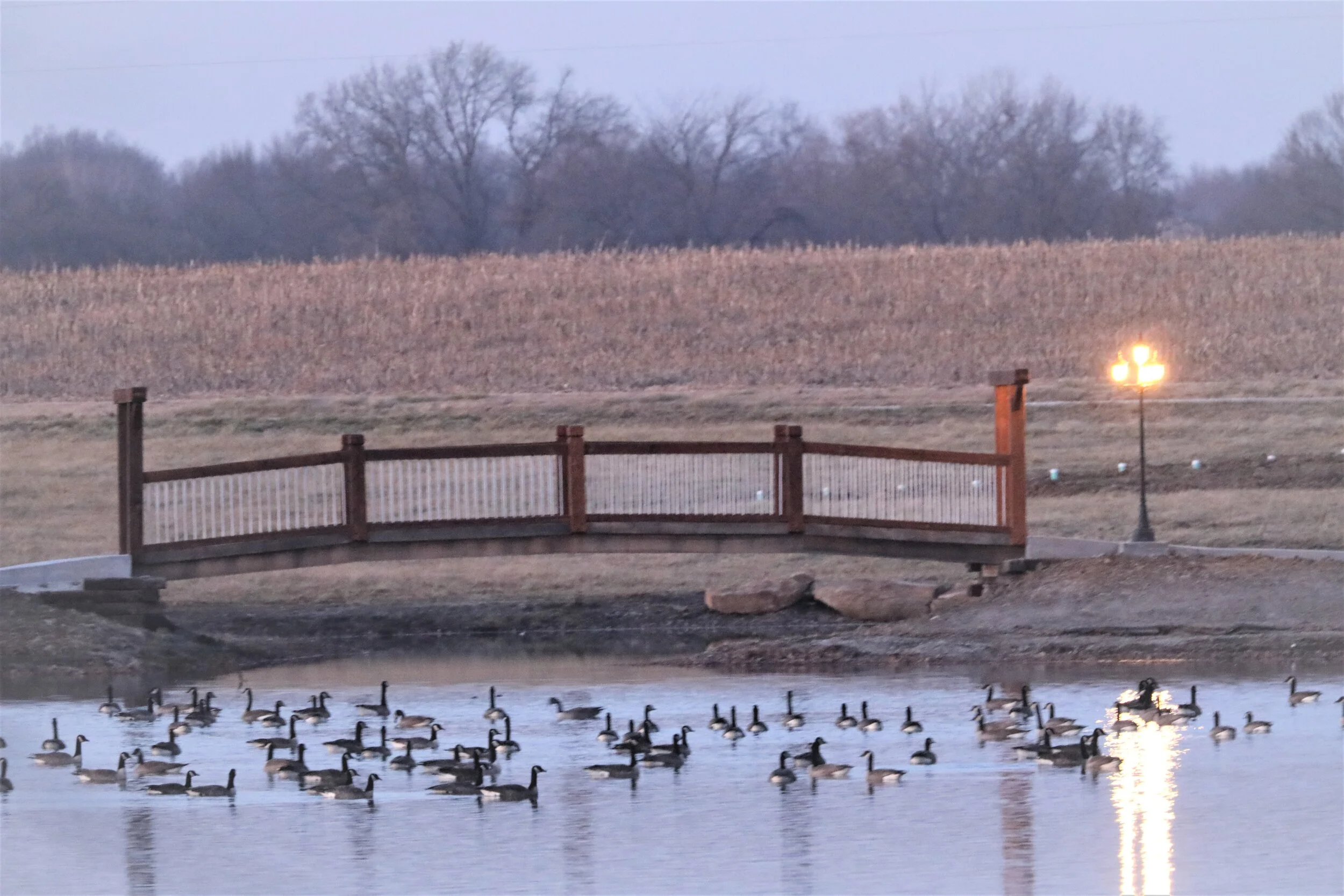 The Rustic Duck Lake Art