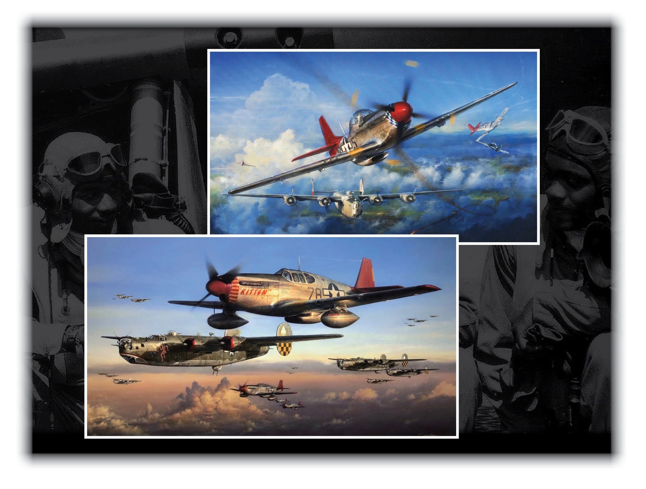 The Tuskegee Airmen of WWll — John Shaw Art
