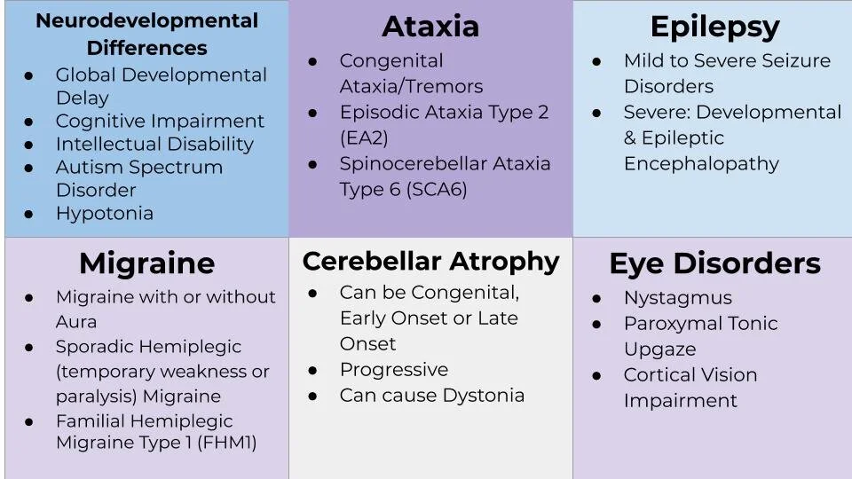 CACNA1A-Related Disorders — CACNA1A Foundation