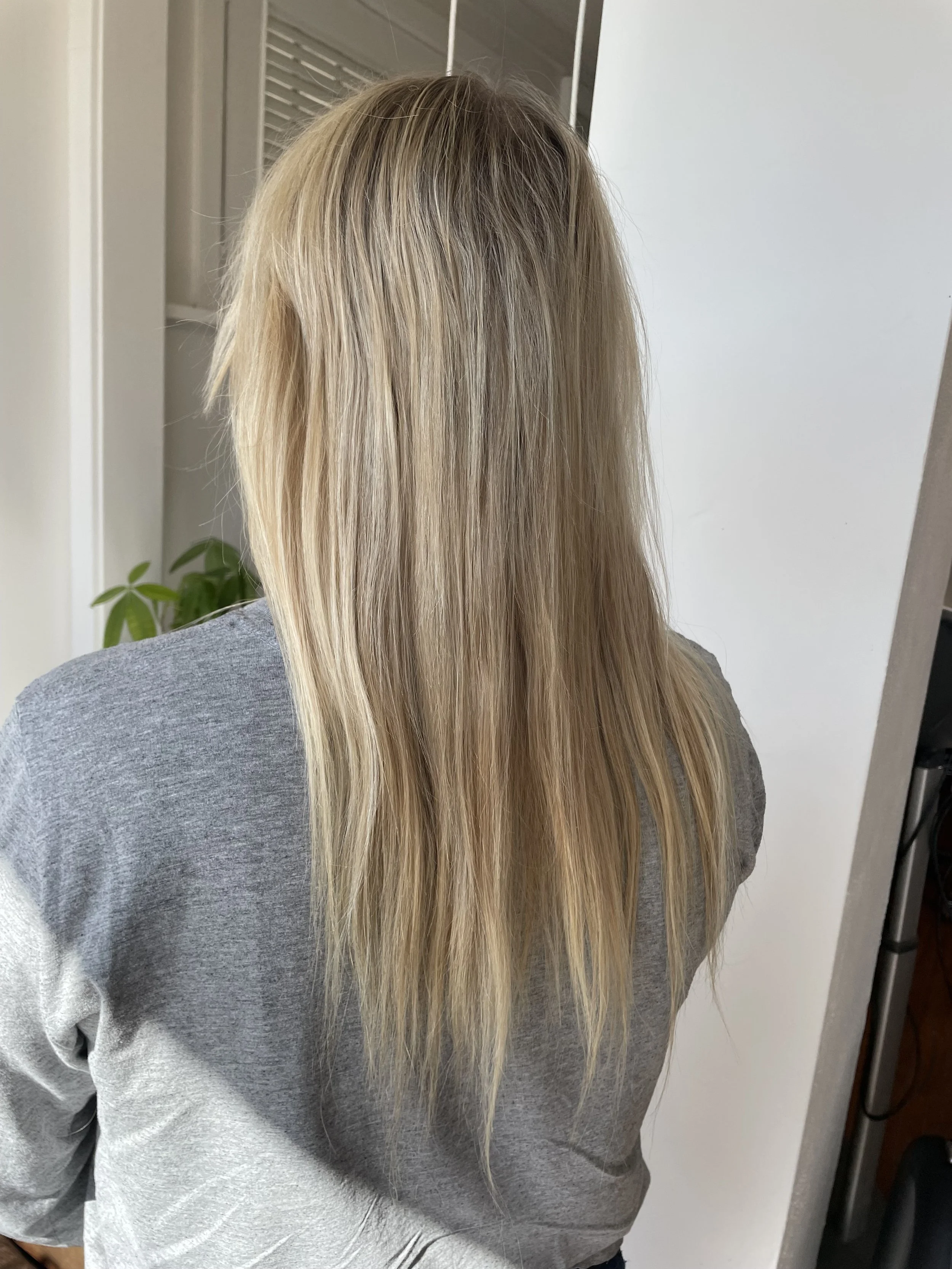 shinehairwellington/salon