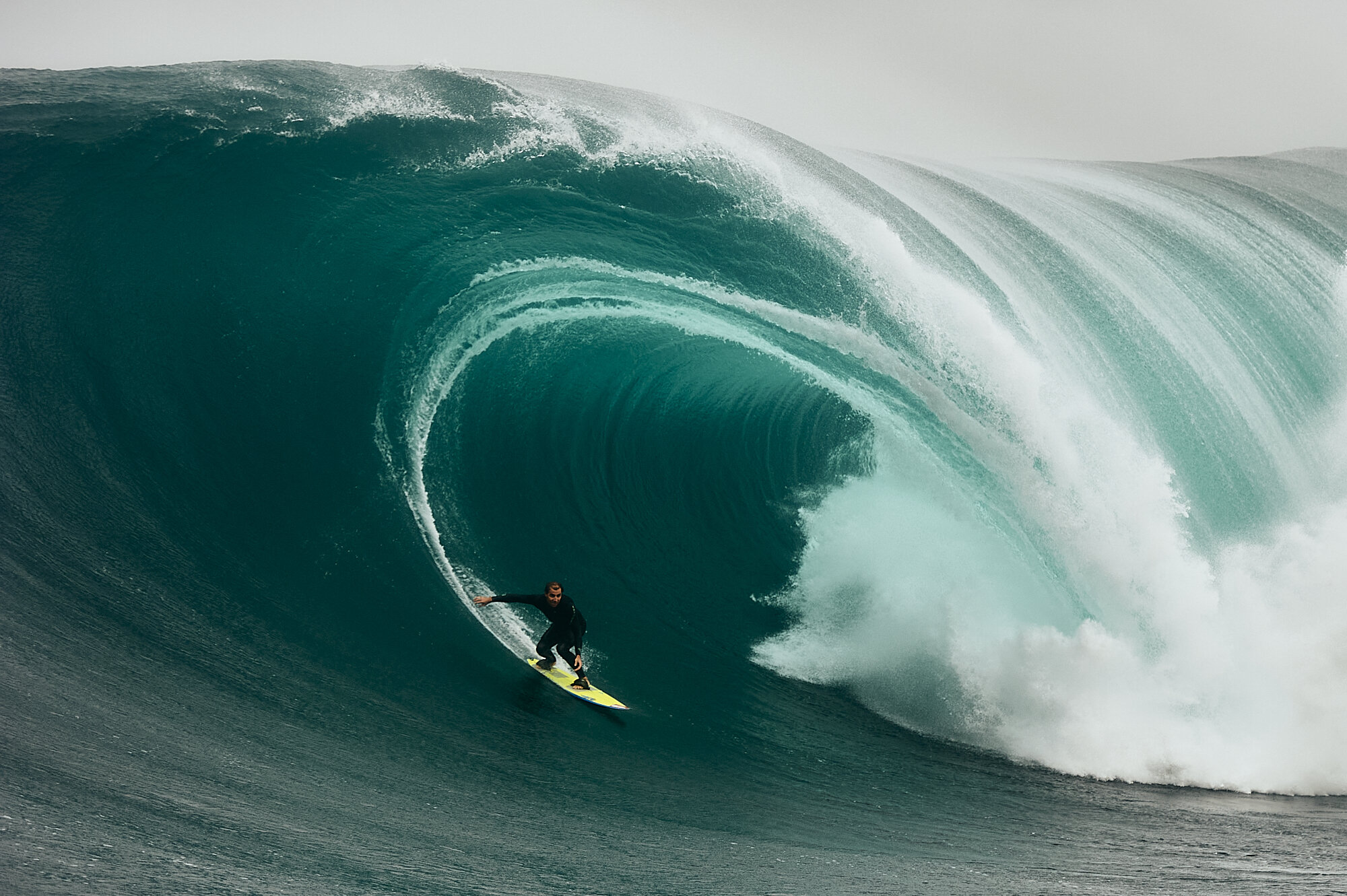 Antman’s Trip Down South — The Coastline Magazine