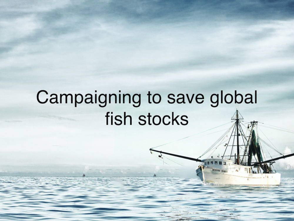 Work — Denhams Digital