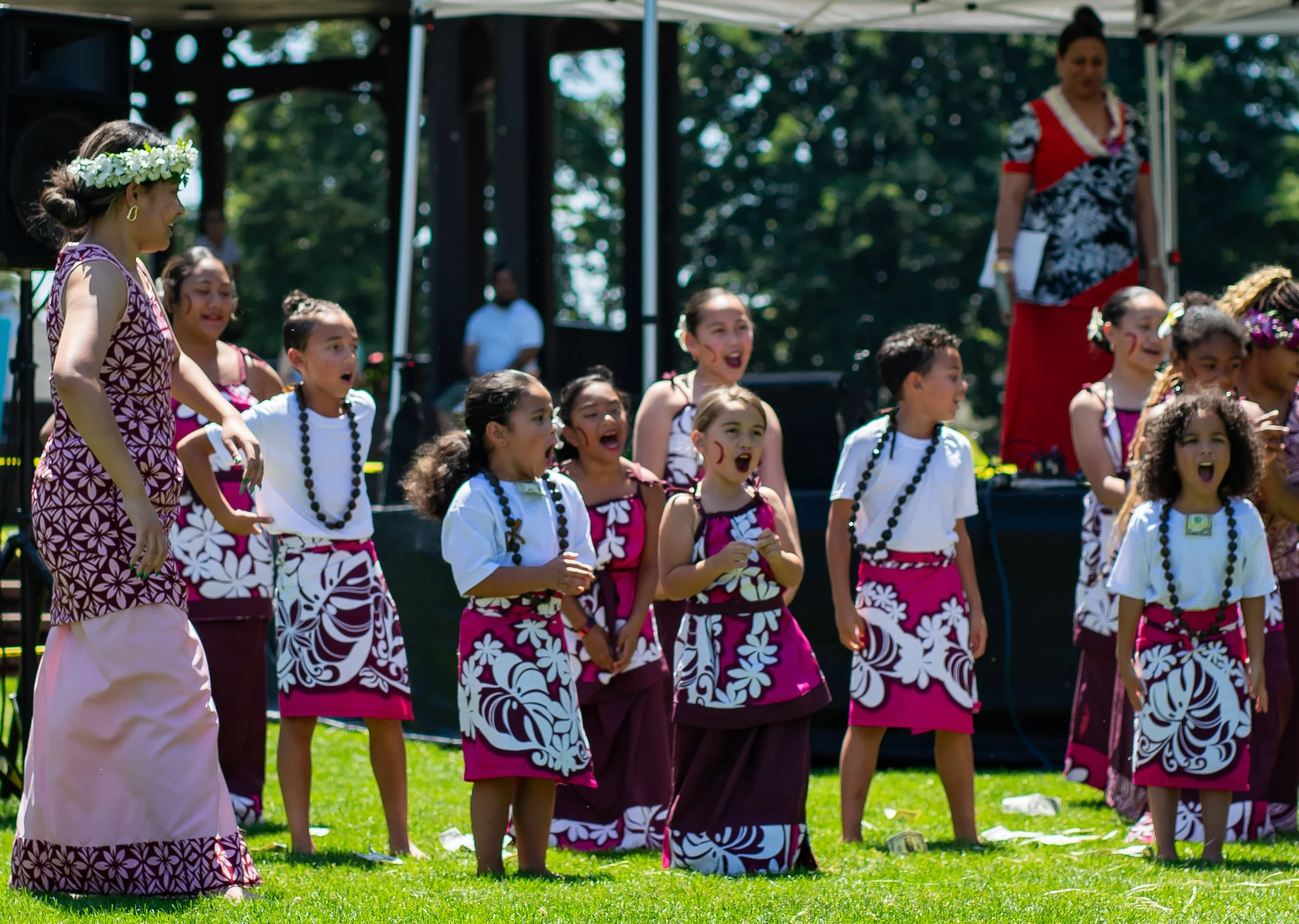 General 2 — Samoa Pacific Development Corporation