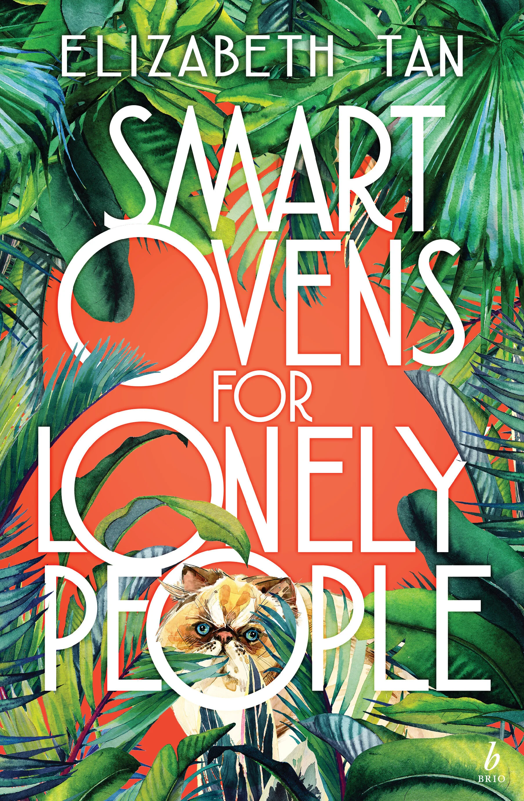 Review of Smart Ovens for Lonely People by Elizabeth Tan — Aniko Press