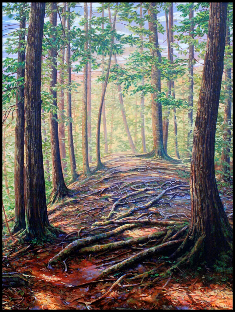 Oil Paintings — Terry Walsh Art