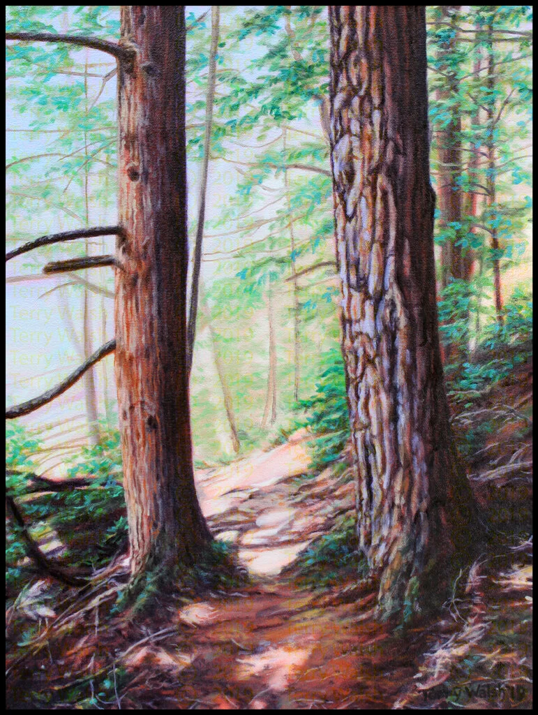 Oil Paintings — Terry Walsh Art