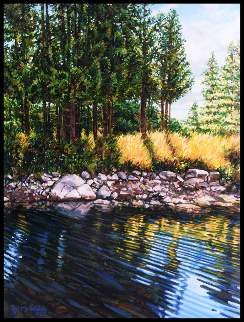 Oil Paintings — Terry Walsh Art