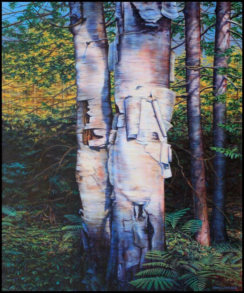 Oil Paintings — Terry Walsh Art