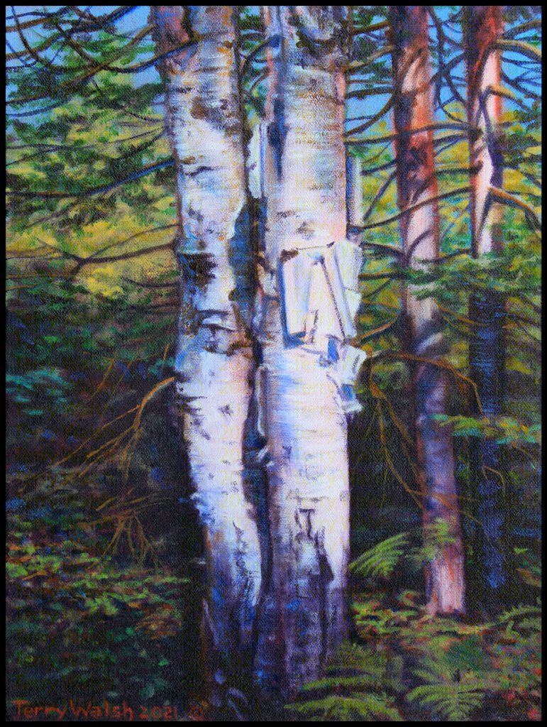 Oil Paintings — Terry Walsh Art