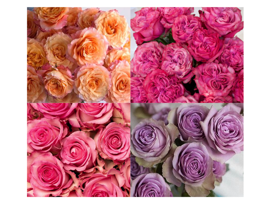 Fresh Flowers and Gifts - Same Day Local Delivery — Sungrove Blossoms ...