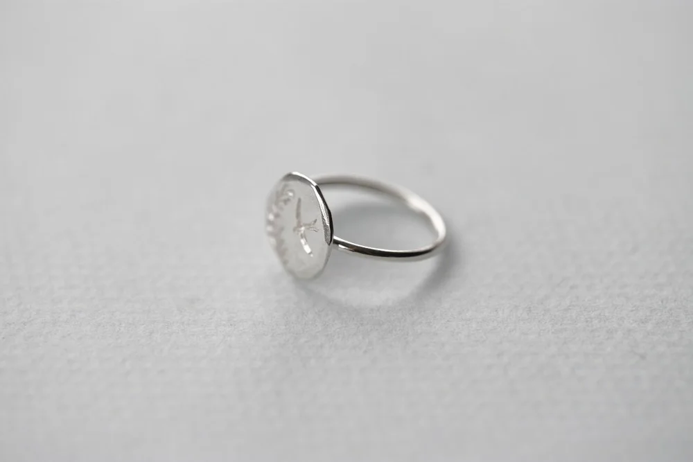 Field ring — Only Through Shadows