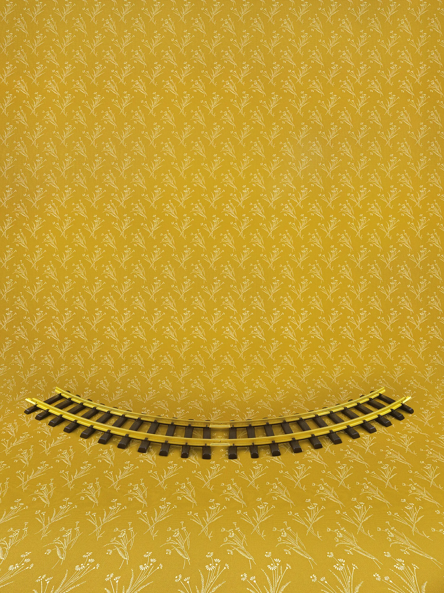 Believe It Or Not — Shellie Zhang