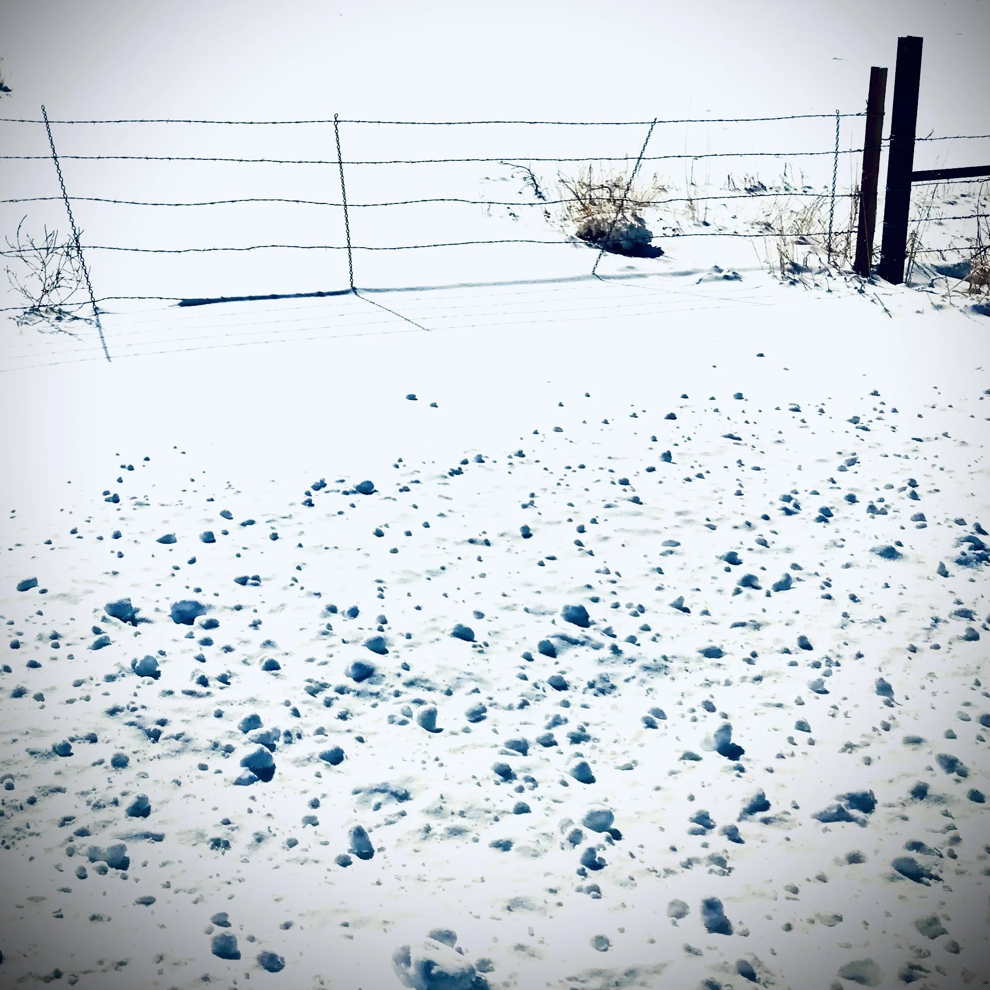 Showcase — Be Still Media