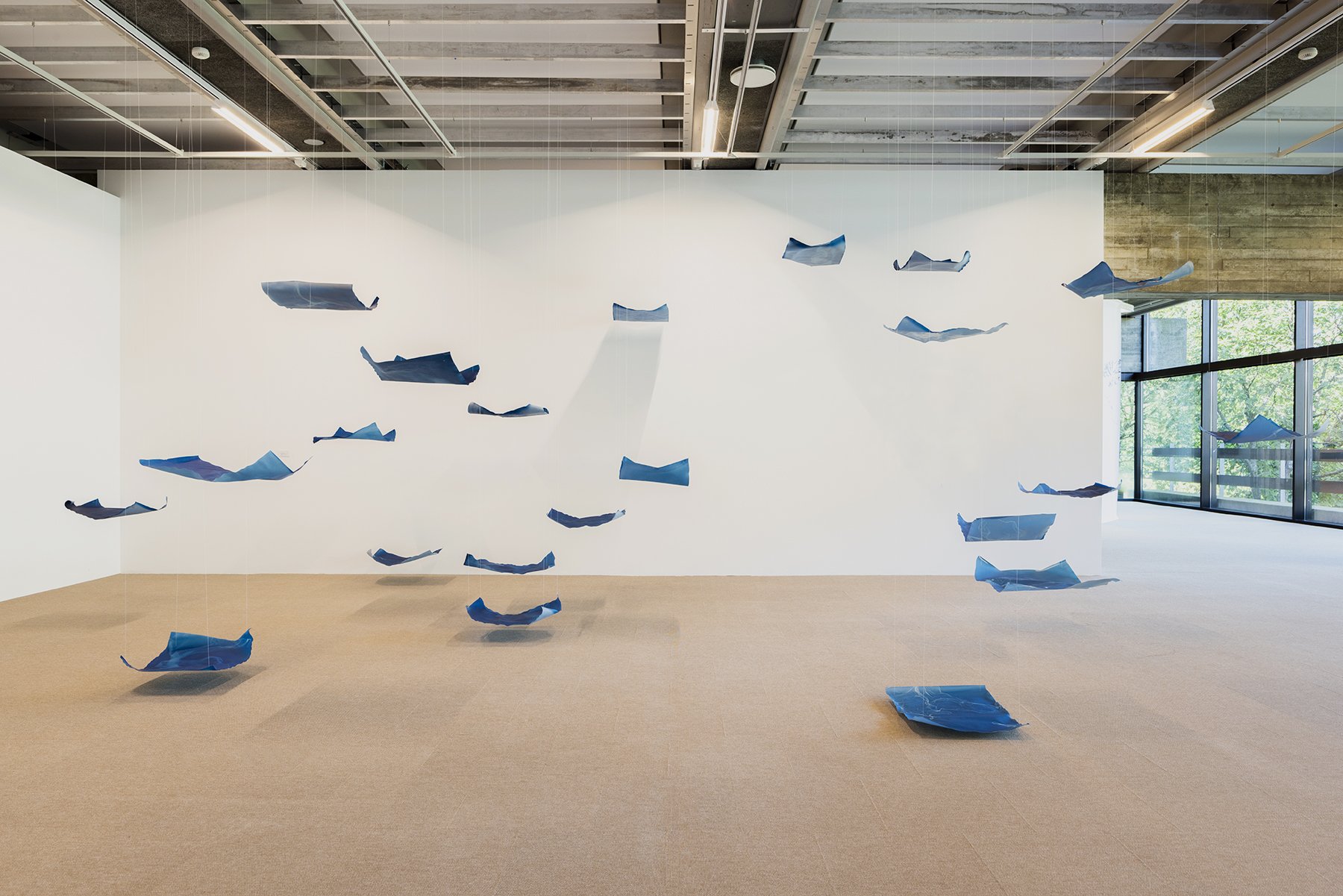 cyanotype of plastic on translucent paper (installation) (2020 ...