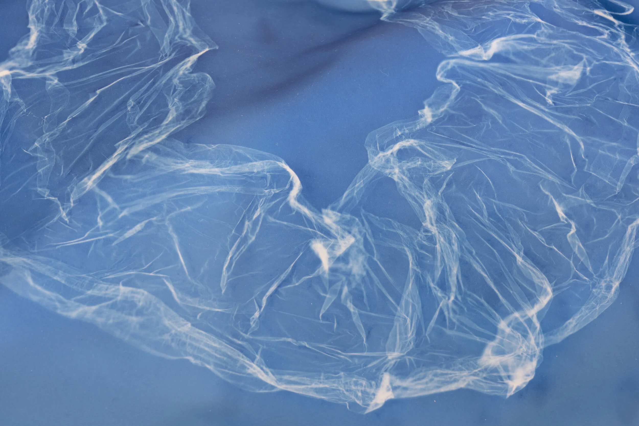 cyanotype of plastic on translucent paper (installation) (2020 ...