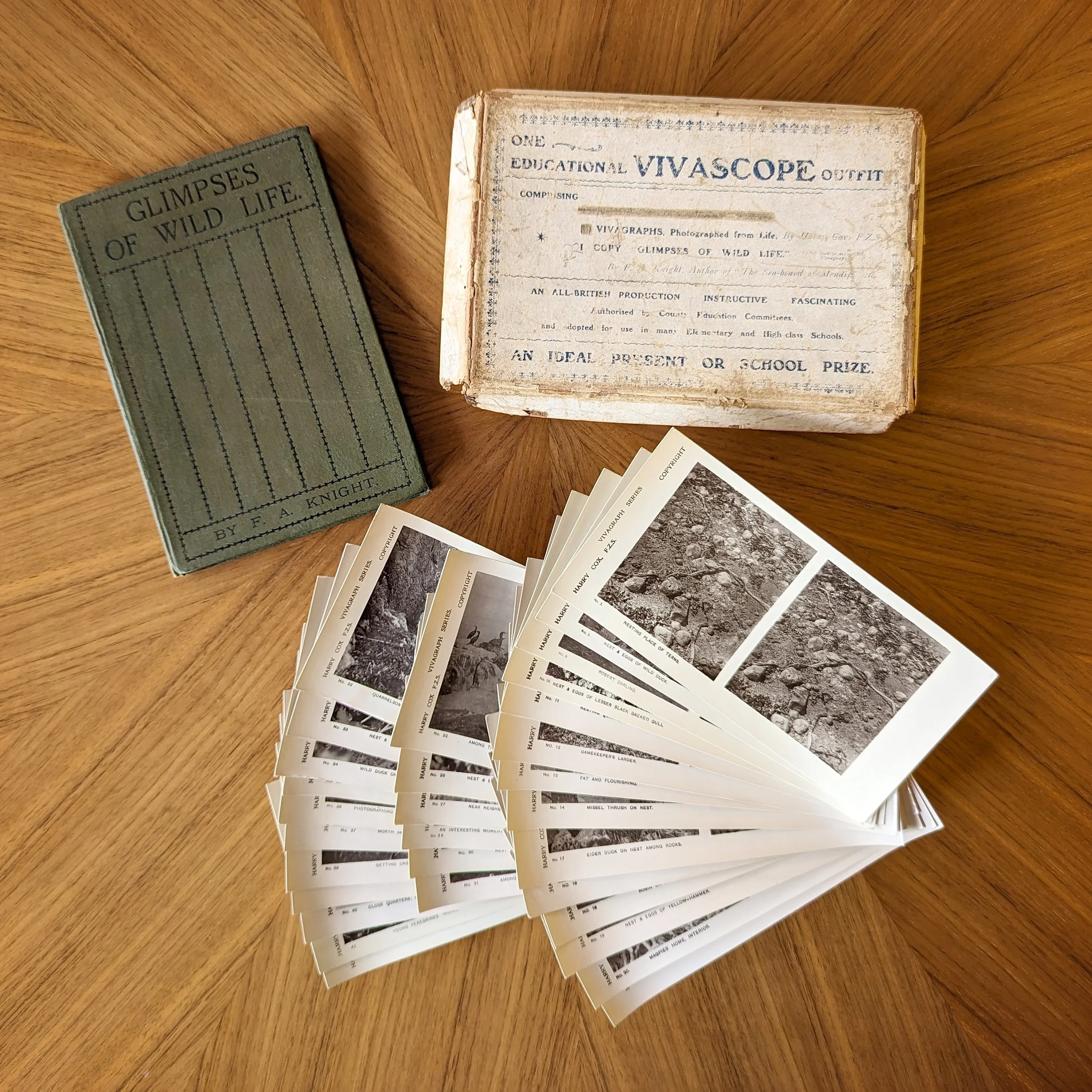 Vivascope Stereoscope | Vivagraphs | Harry Cox, F.Z.S. | 1910s England ...