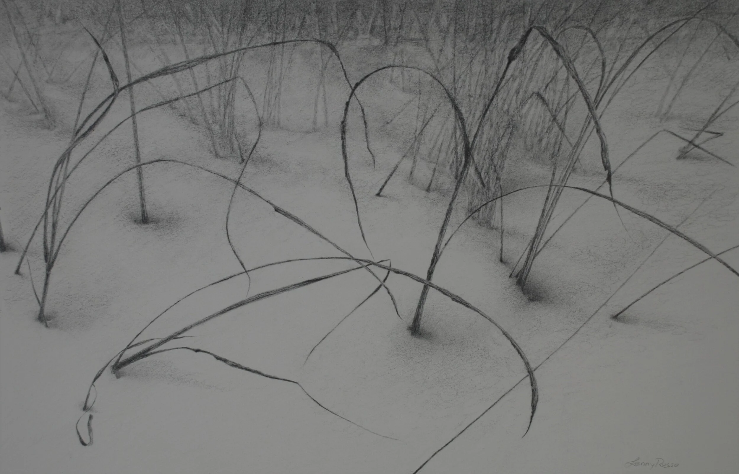 Graphite Drawings — Lenny Russo Fine Art
