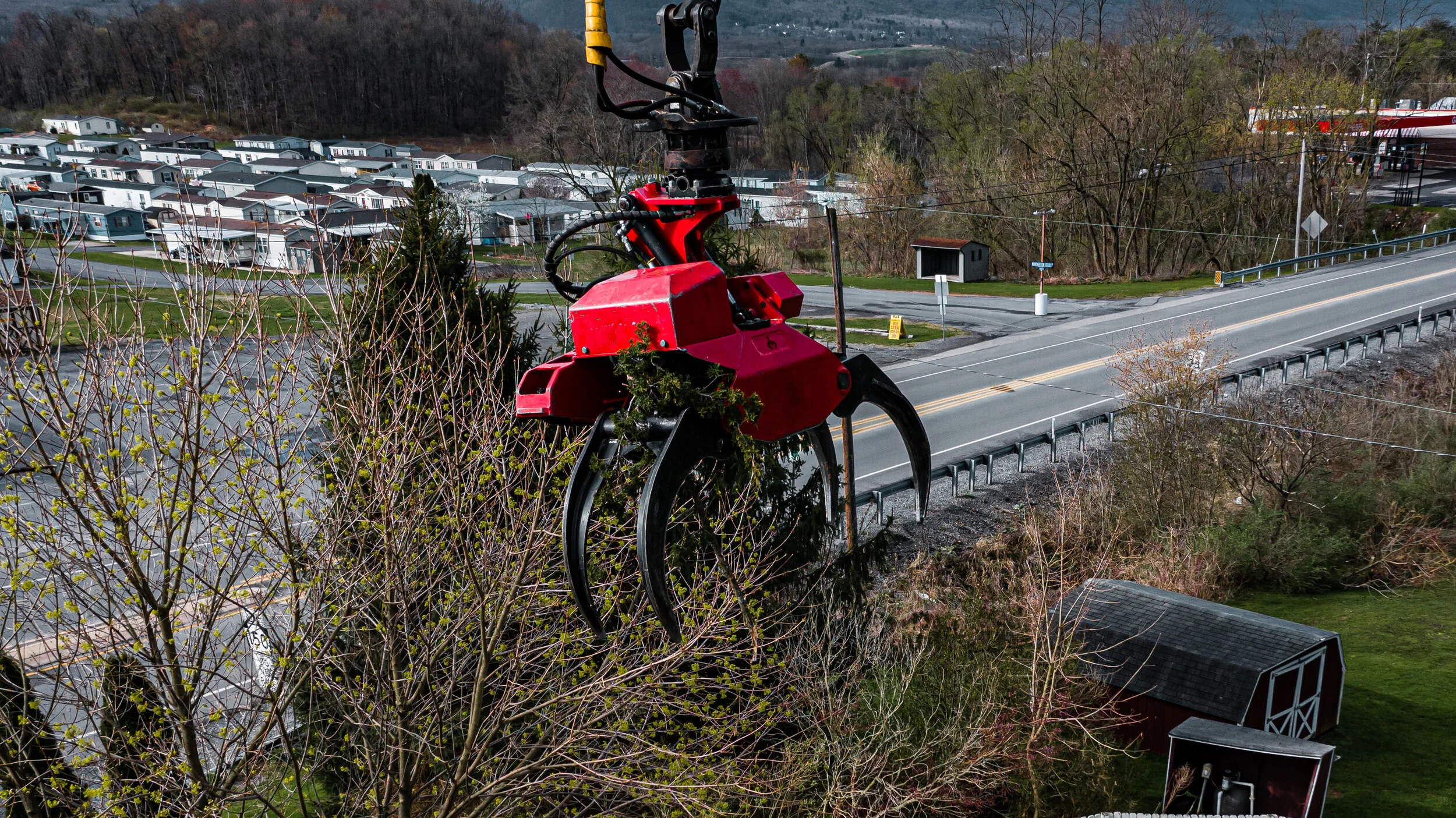 TreeMek — Loffredo's Tree Trimming & Removal - Williamsport & State ...