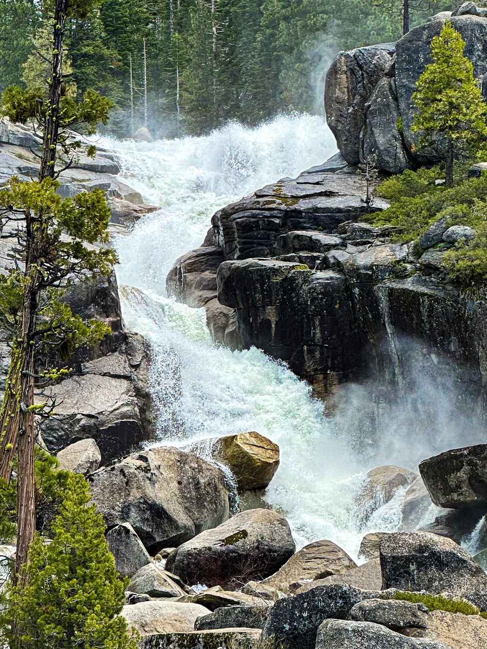 Bassi Falls: A Tranquil Outdoor Escape in El Dorado National Forest ...