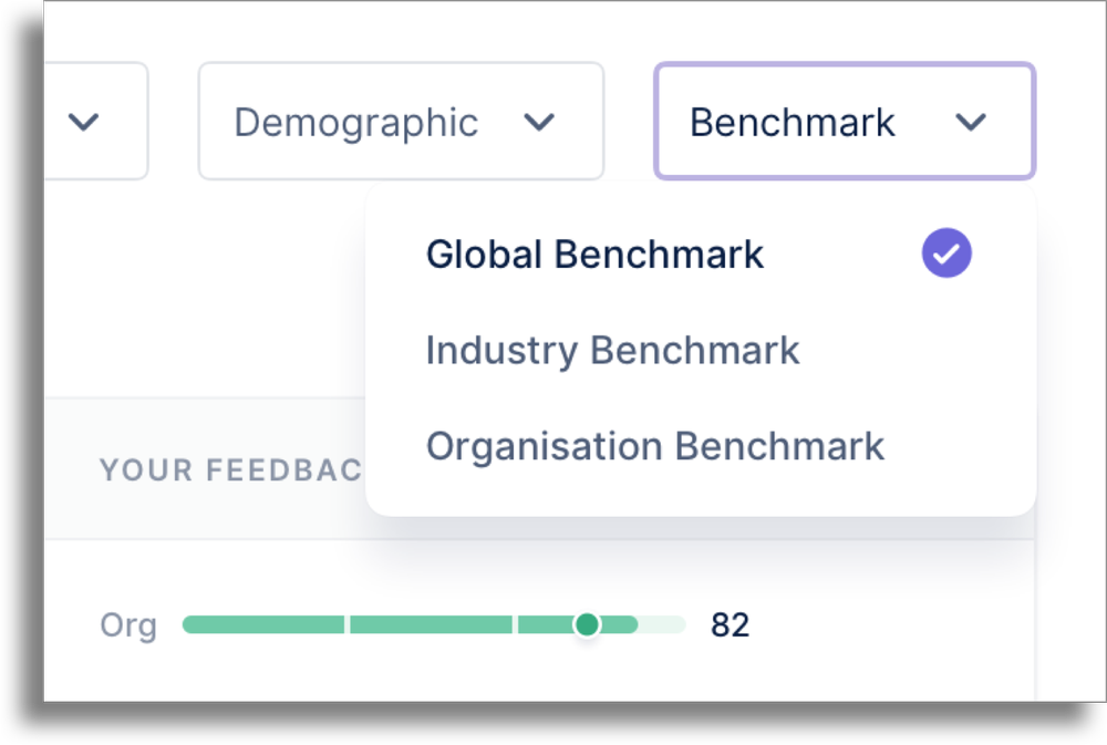 Organisational Surveys — Integral