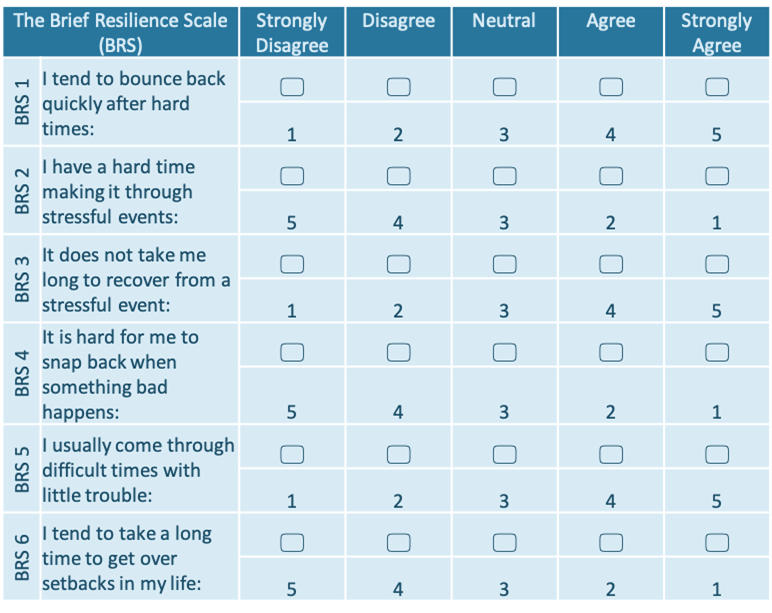 The Brief Resilience Scale — Integral