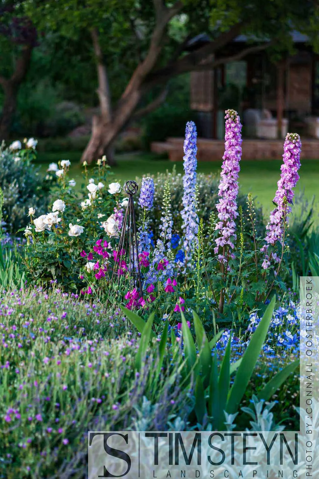 Gallery — Tim Steyn Landscaping