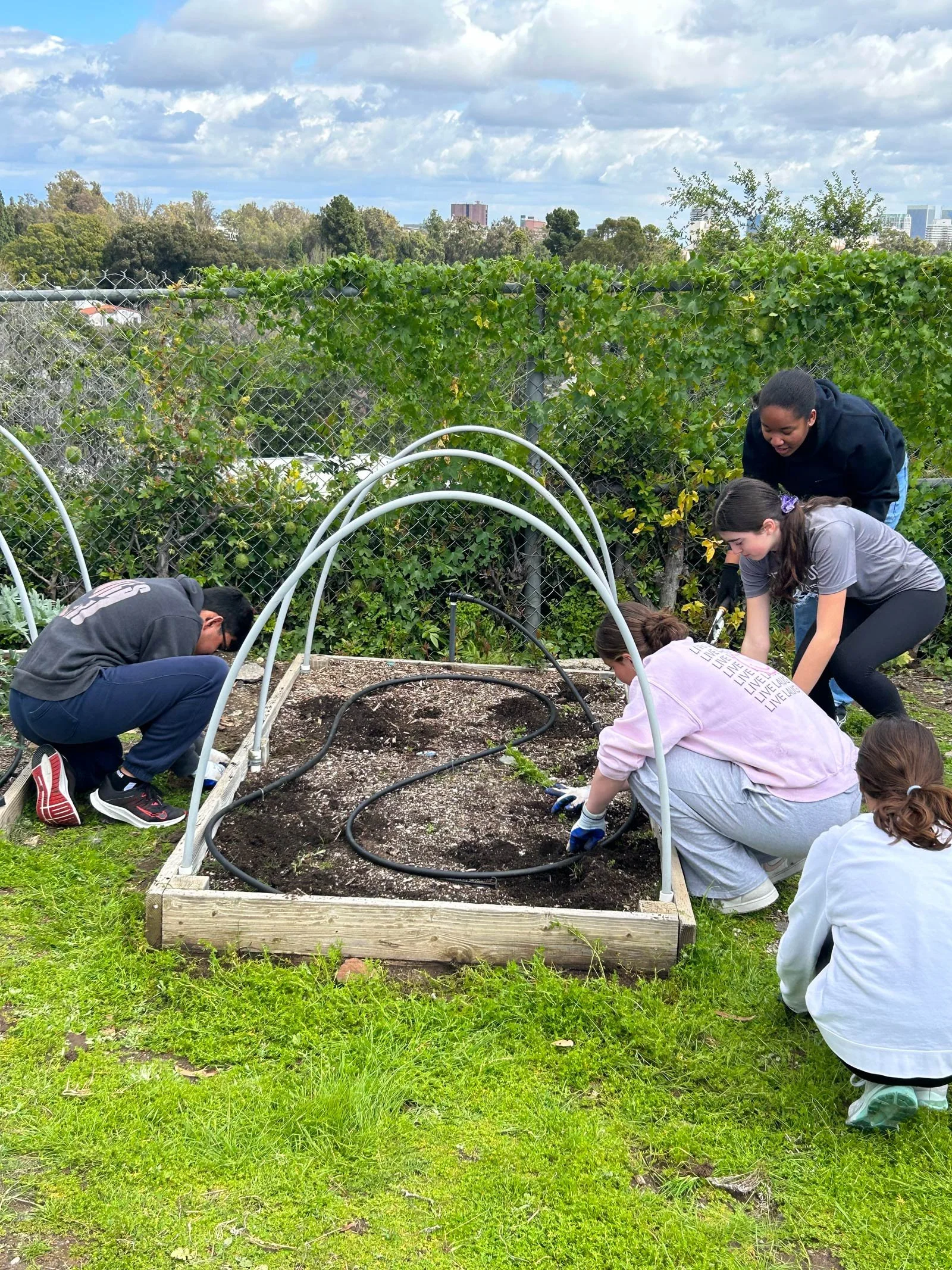 Education Program — City Greens Community Farm | Farm-based Education ...