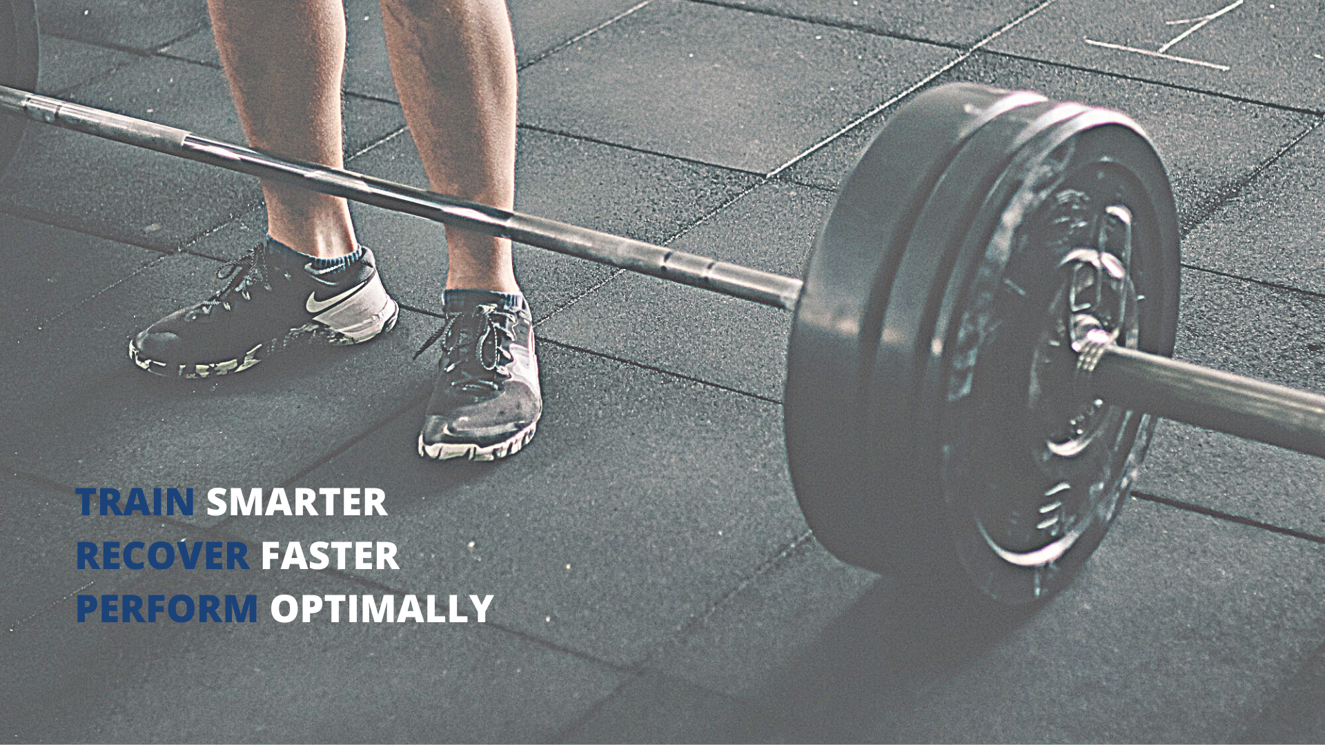 Fitness Training — OMI Sports Performance and Rehab