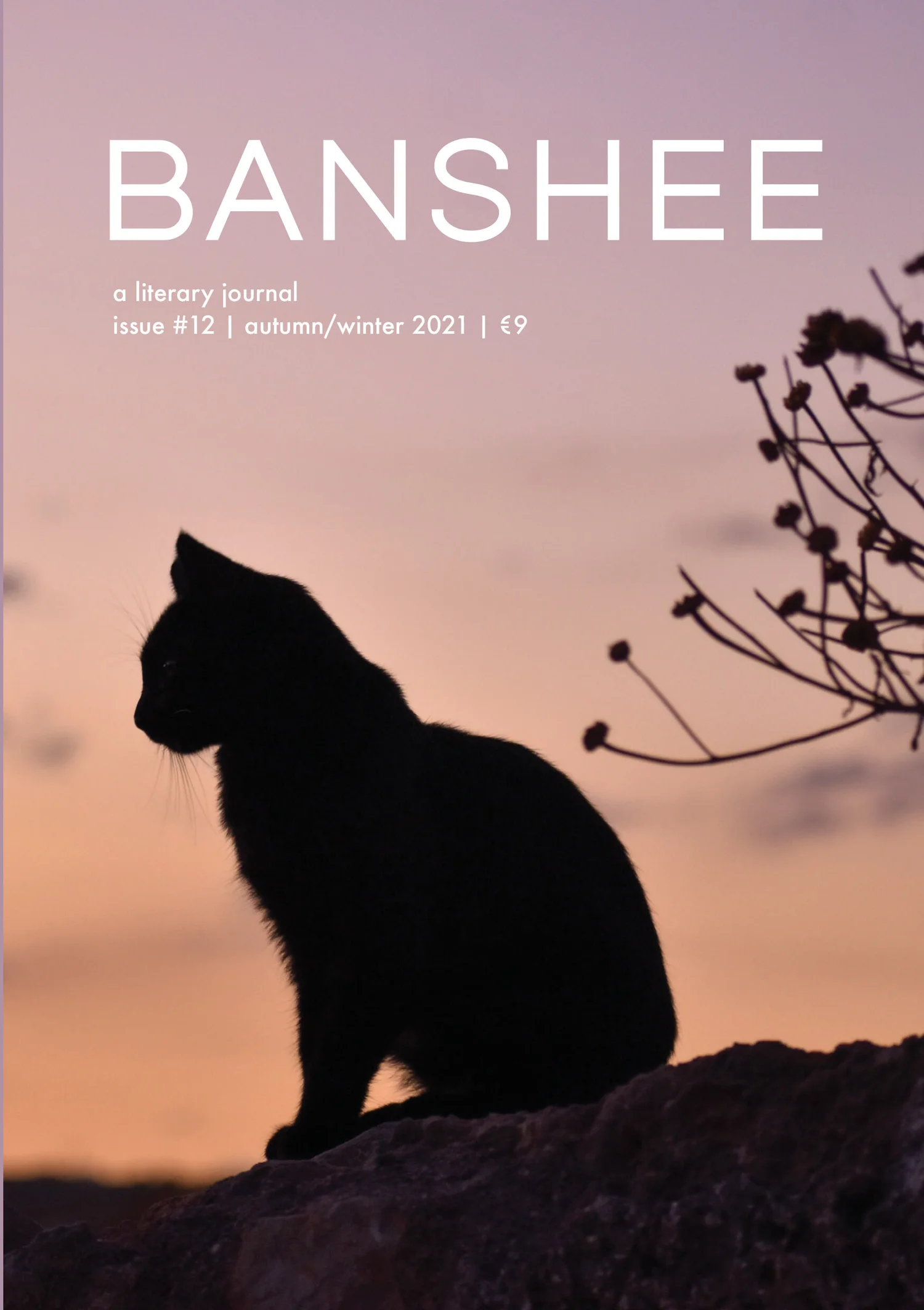 Shop — Banshee Press