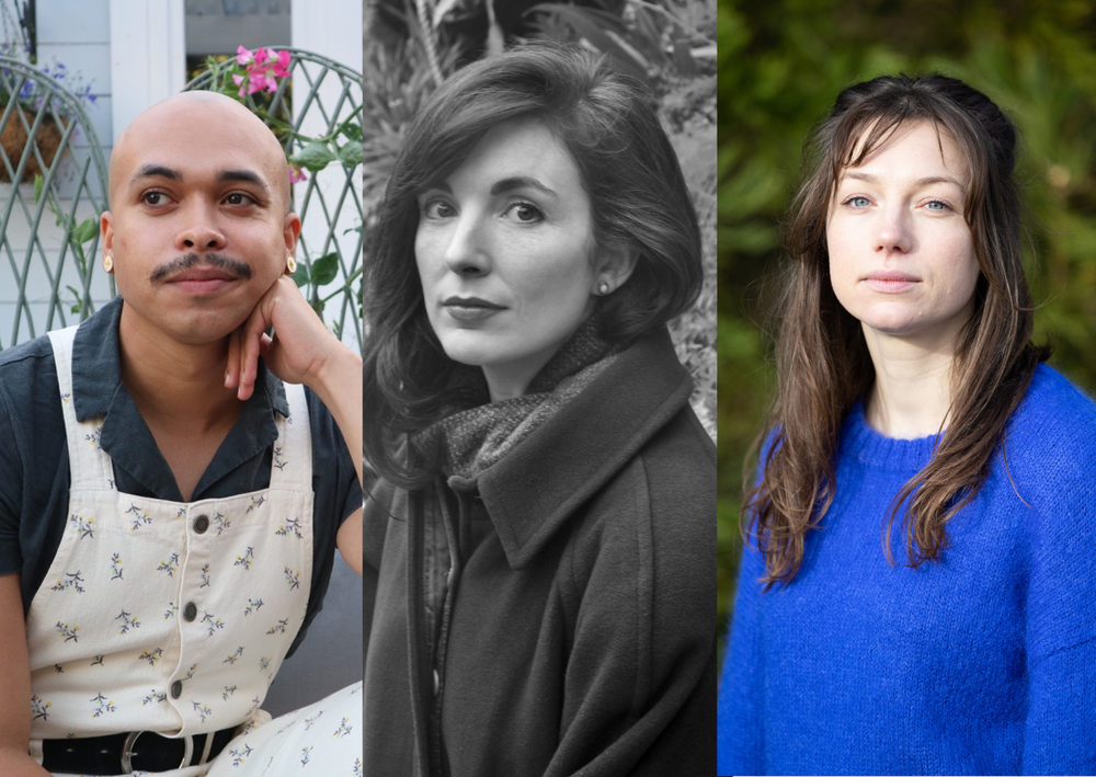 Announcing the next three books from Banshee Press — Banshee Press