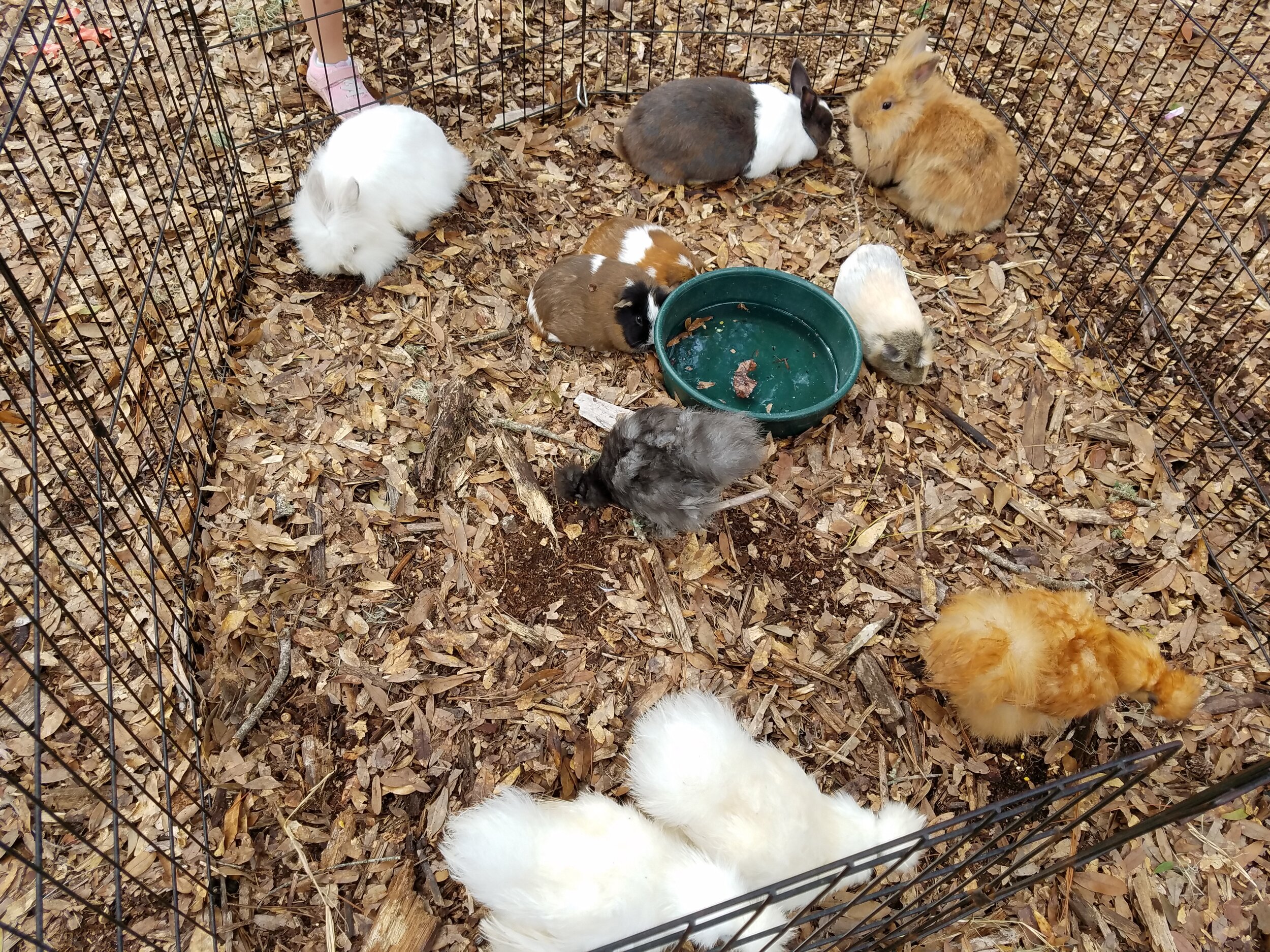 Gallery — Bonnie Doone Farm