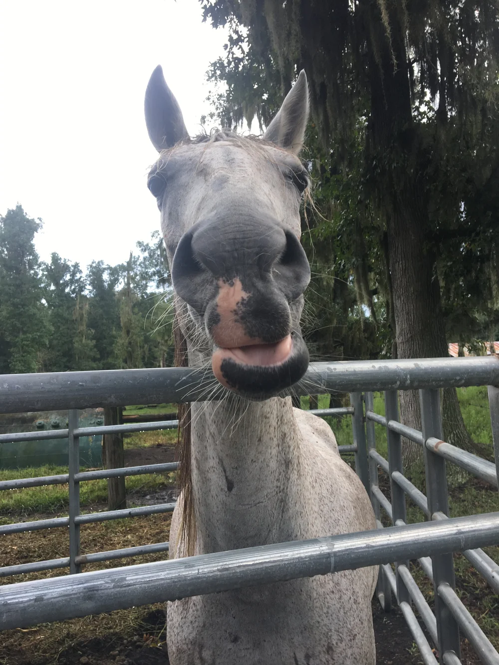 Bonnie Doone Farm