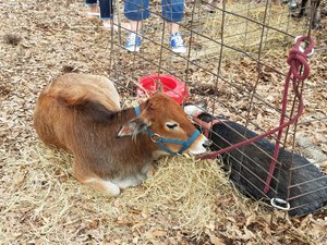 News and Events — Bonnie Doone Farm
