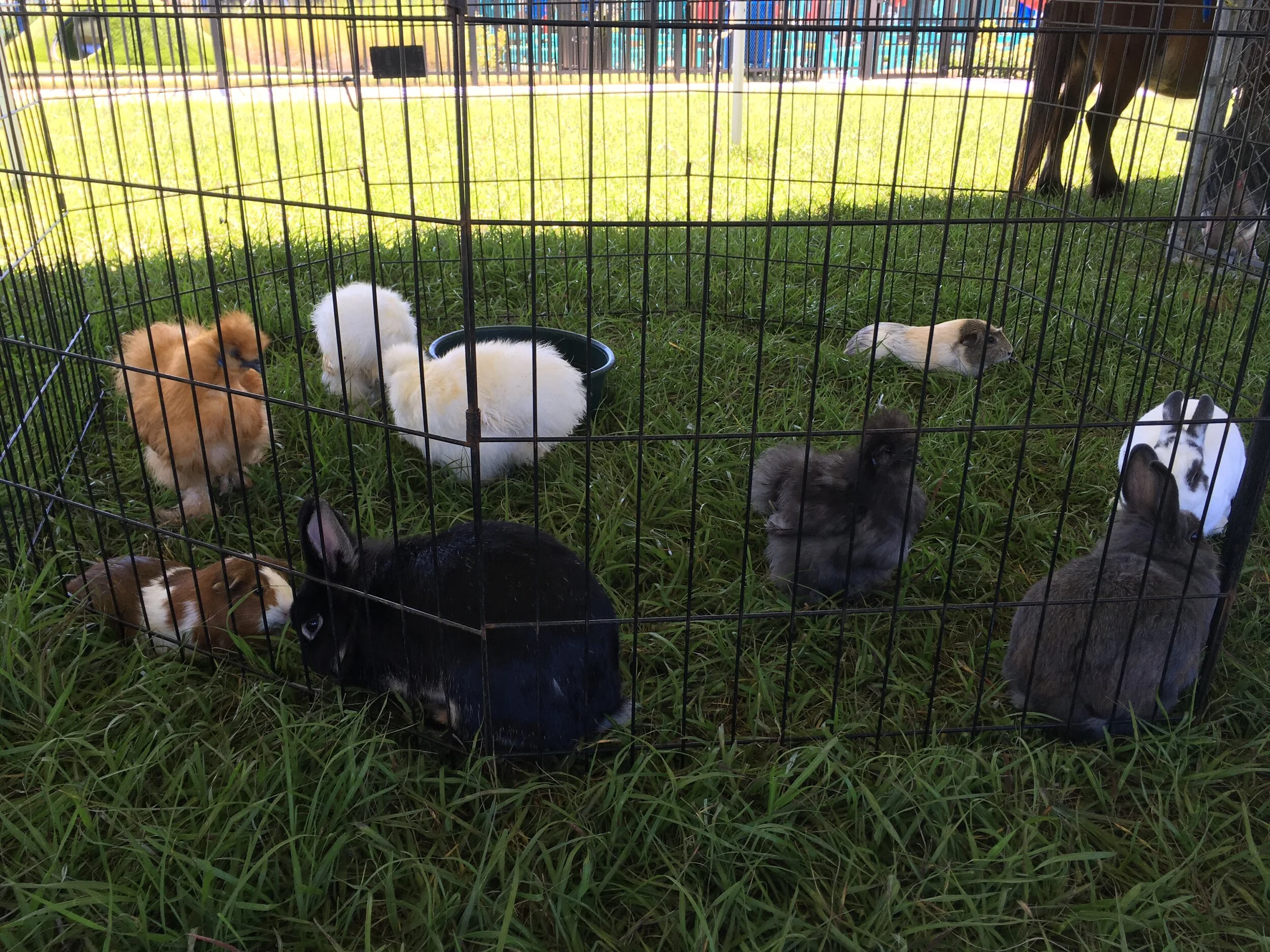 Bonnie Doone Farm